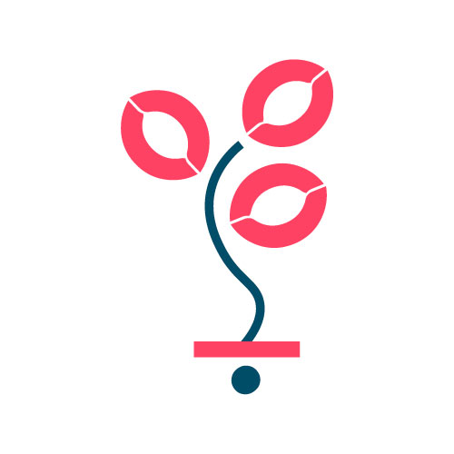 Fungicidas - Nucle México Marketplace